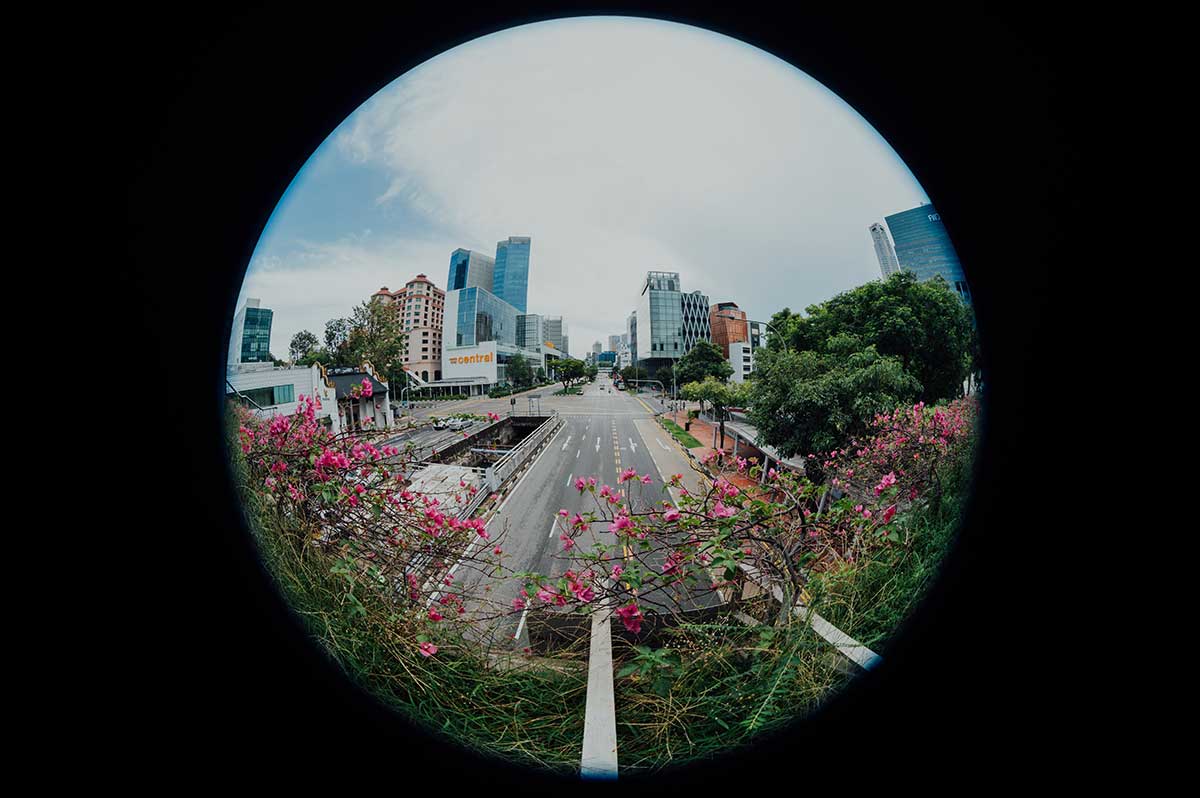 Wide Angle vs Fisheye Lens Buying Guide - 42West