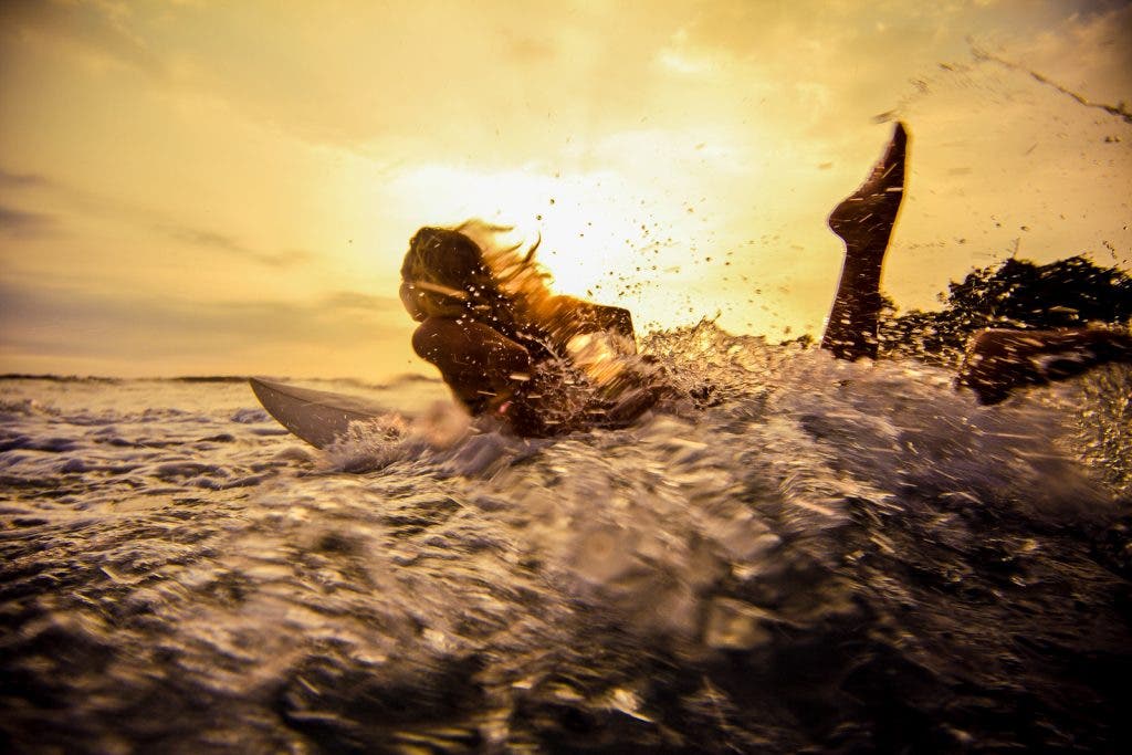 Meet a Pro: Sarah Lee, Artist of the Deep - Adorama