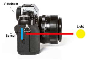 FAQ: What Is a Mirrorless Camera? - 42West