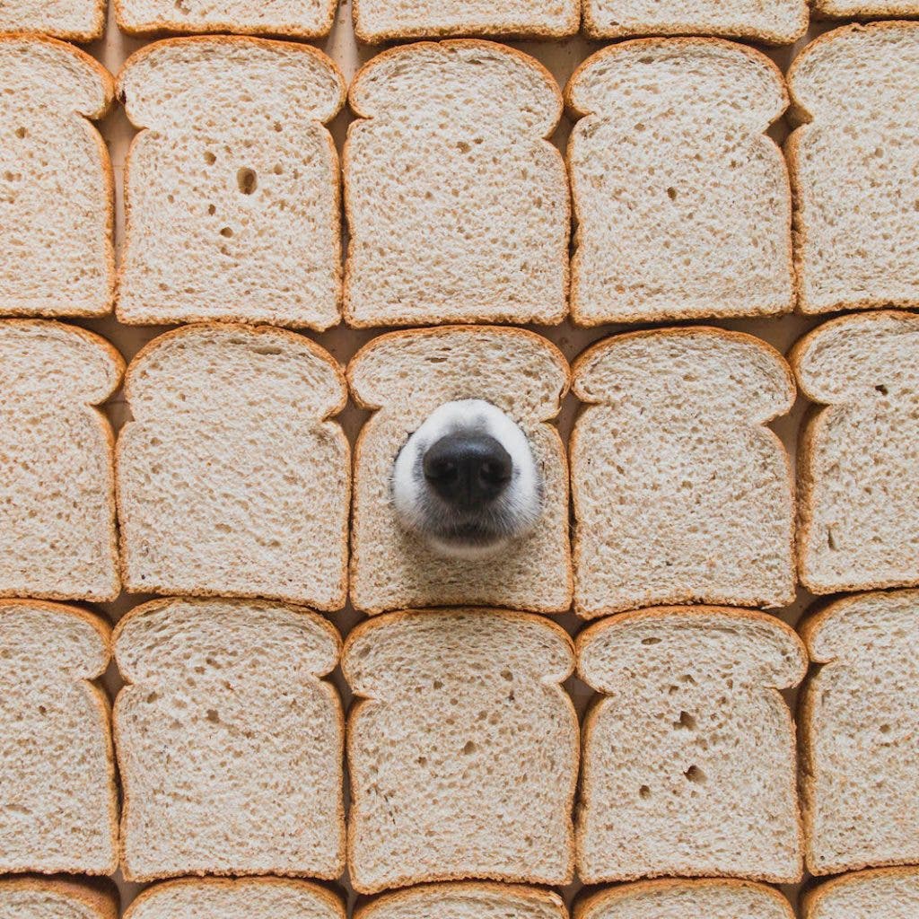Through the Lens: Canada — Photographer Andrew Knapp (@andrewknapp ...