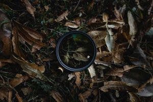 Camera Lens Filters: A Beginner's Guide - 42West, Adorama