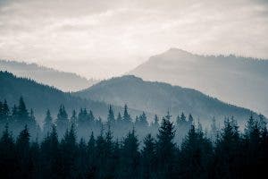 Basic Photography Composition Techniques - Adorama