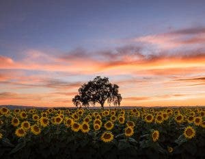 Through the Lens: Back in the USA - Photographer Kathryn Dyer (@kathryn ...