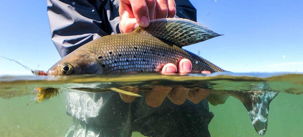 5 Tips for Capturing the Half-Underwater Shots - Adorama