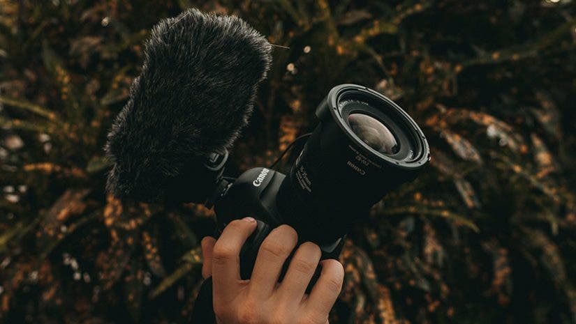 Are Microphone Windscreens and Pop Filters the Same Thing? - ALC