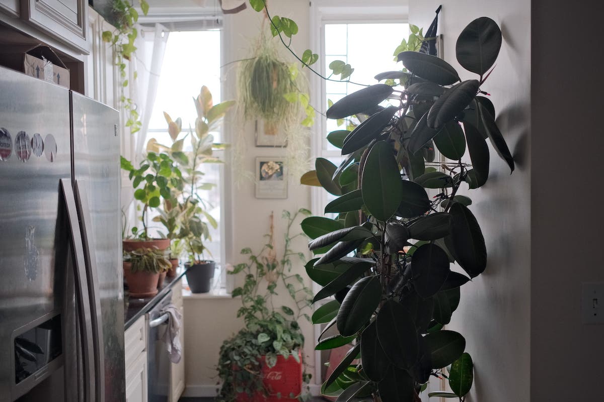 Fujifilm XE4: Hands-On Review with Cooper Naitove