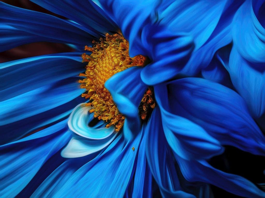 How to Use Complementary Colors in Photography - Adorama How to Use Complementary Colors in Photography - Adorama