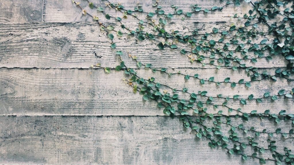 Asymmetrical Balance in Photography: How to Use it - 42West