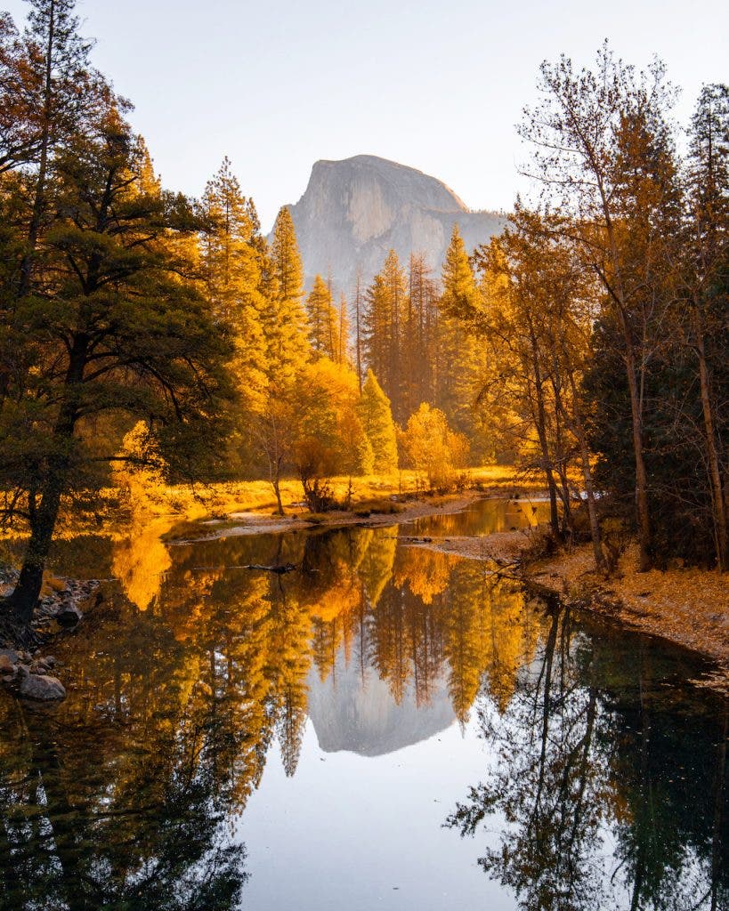 The Ultimate Guide to Fall Foliage Photography - 42West