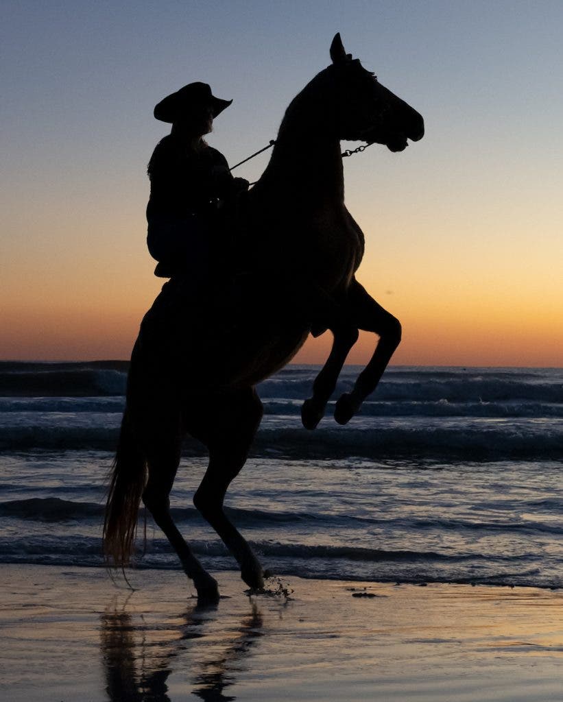 Tips for Capturing Fast Movements in Horse Photography - 42Wst