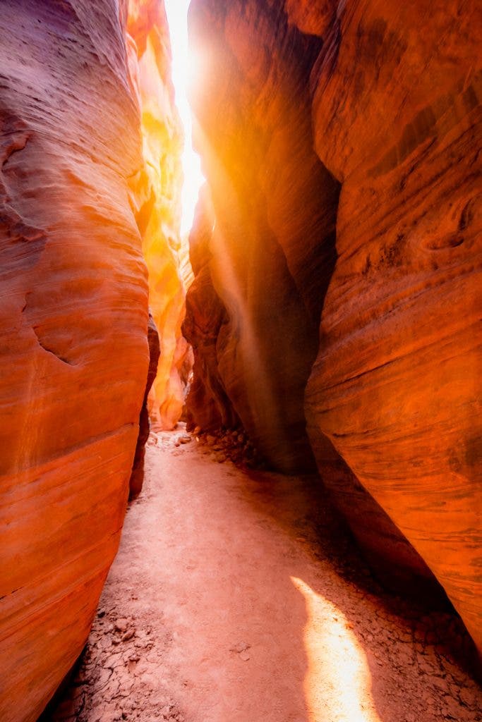 What to Know When Shooting Desert Photography - 42West