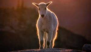 Selective Focus in Photography: What Is It and How to Use It? - 42West