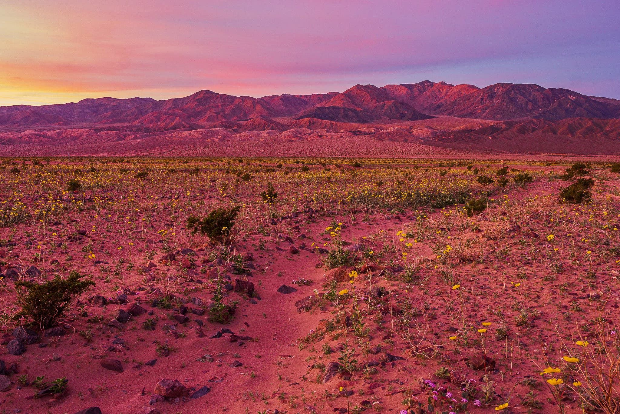 White Balance in Photography: Tips for Creative Photos - Adorama