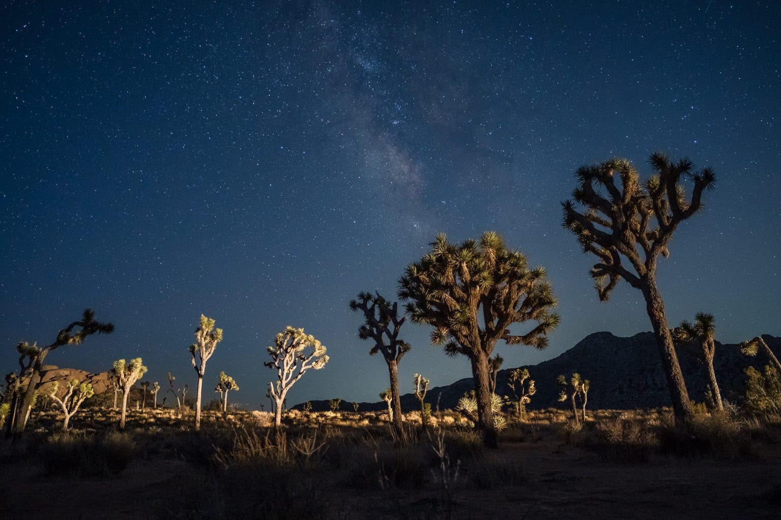 Night Photography Ideas, Tips, and Examples - Adorama