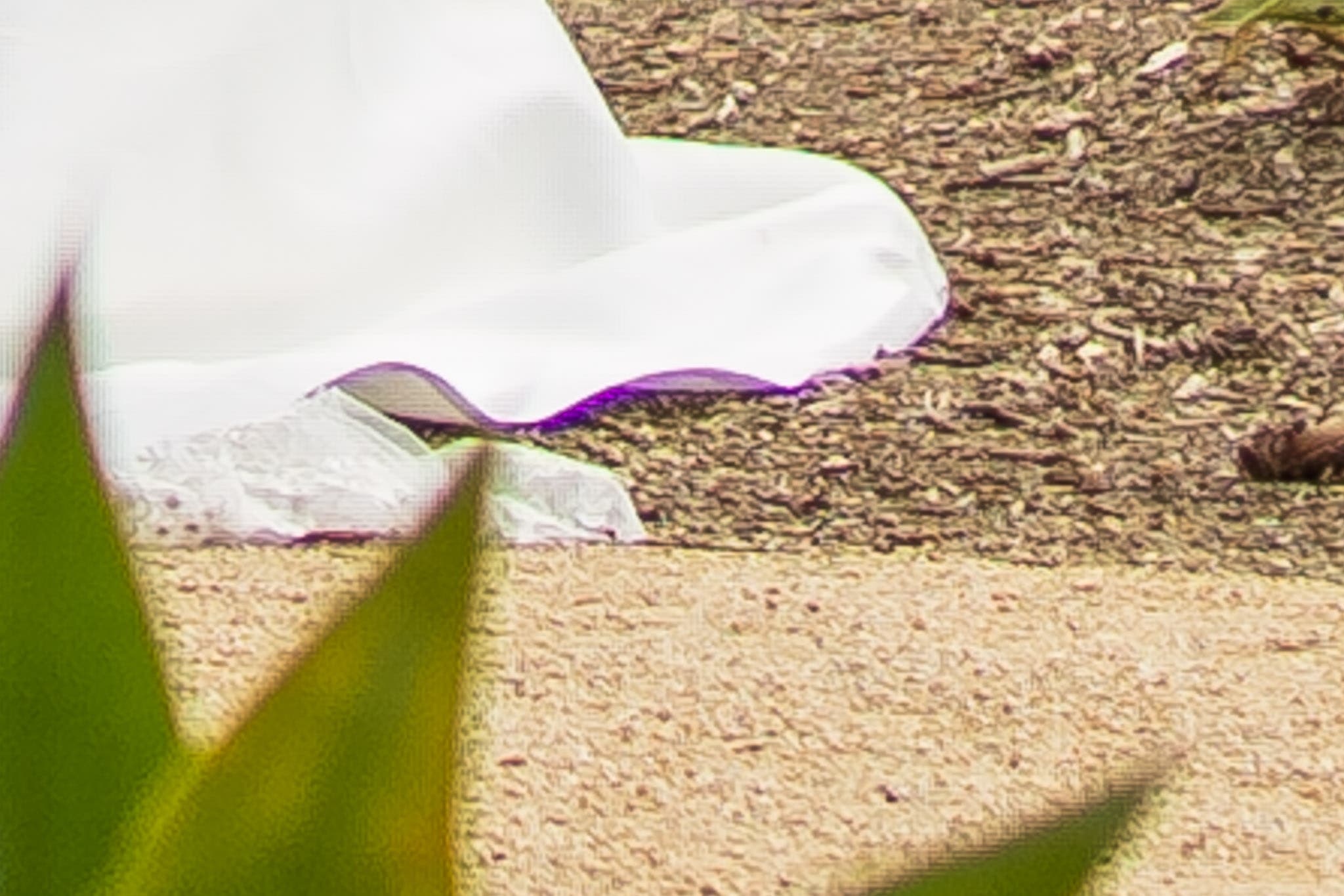 Chromatic Aberration: What Is It and How Do You Fix It? - Adorama