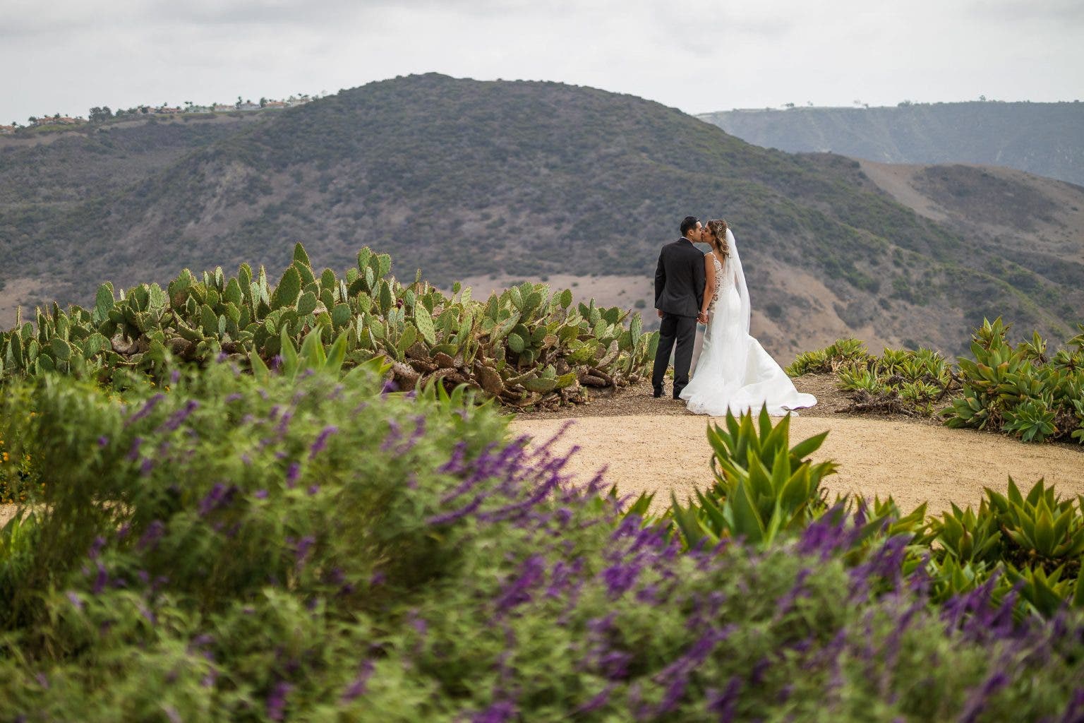 Chromatic Aberration: What Is It and How Do You Fix It? - Adorama