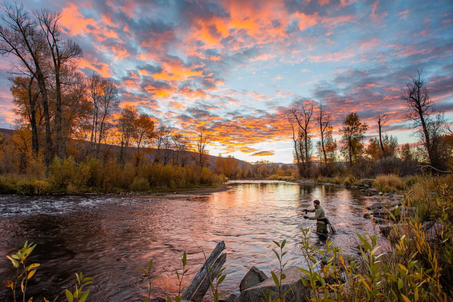 Chromatic Aberration: What Is It and How Do You Fix It? - Adorama