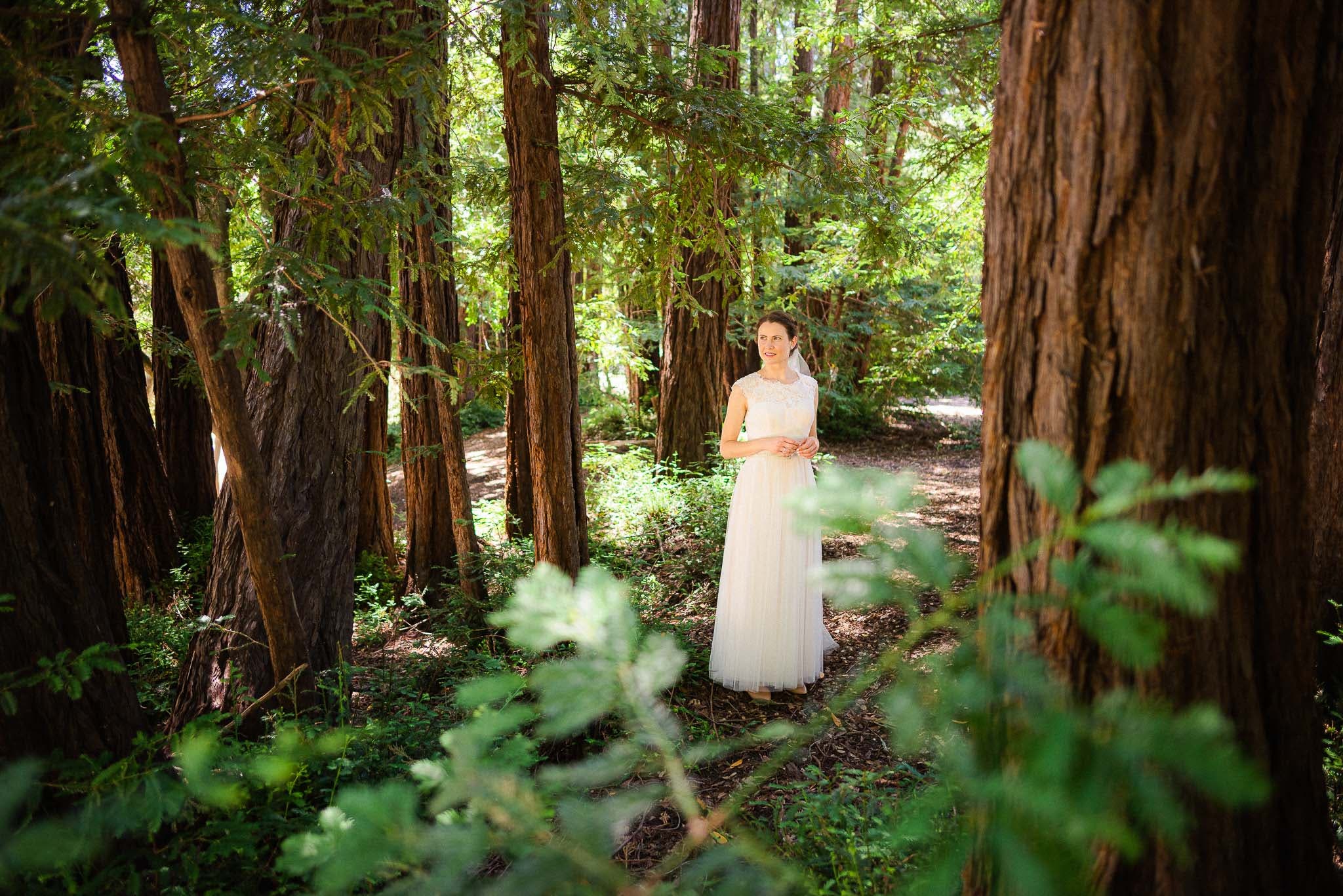 7 Forest Photography Ideas - Adorama