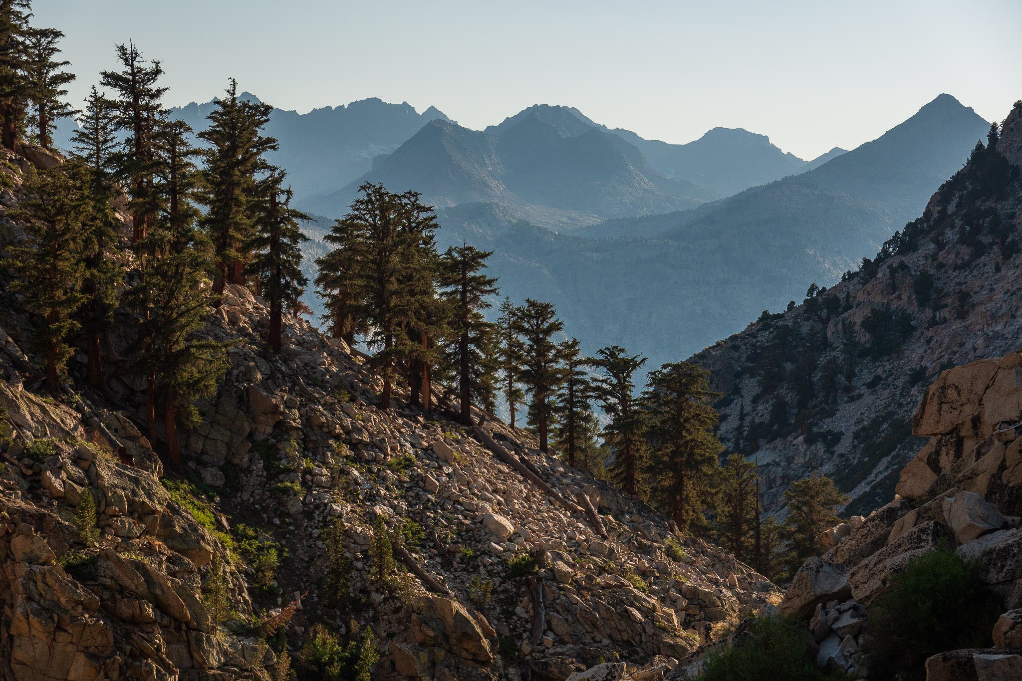 7 Forest Photography Ideas - Adorama