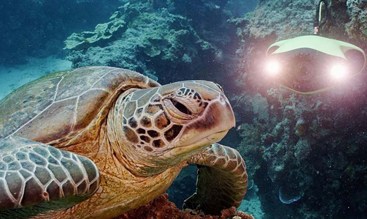 Underwater Drones & ROVs: Everything You Need to Know