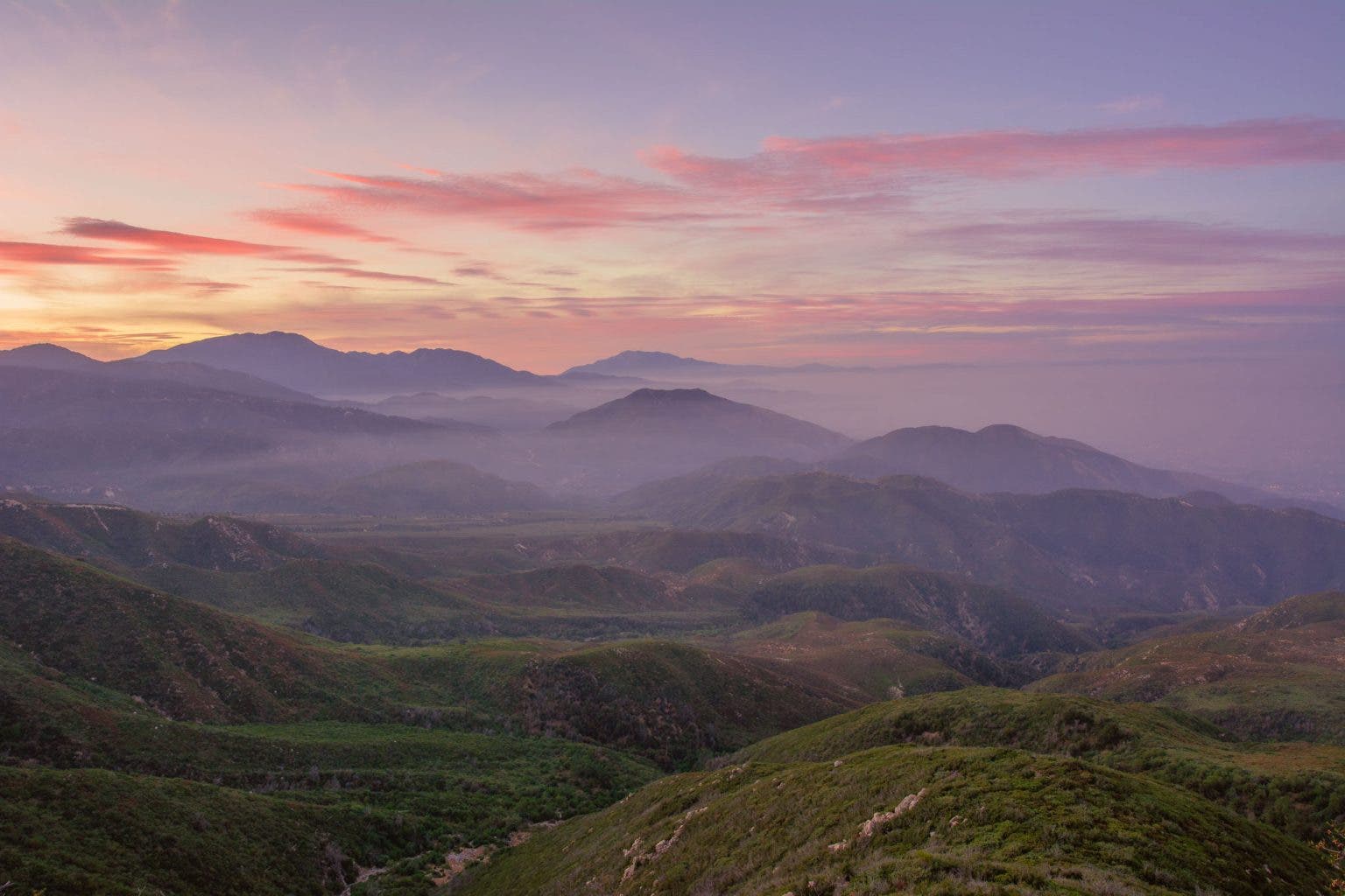 The Ultimate Guide to Contrast in Photography