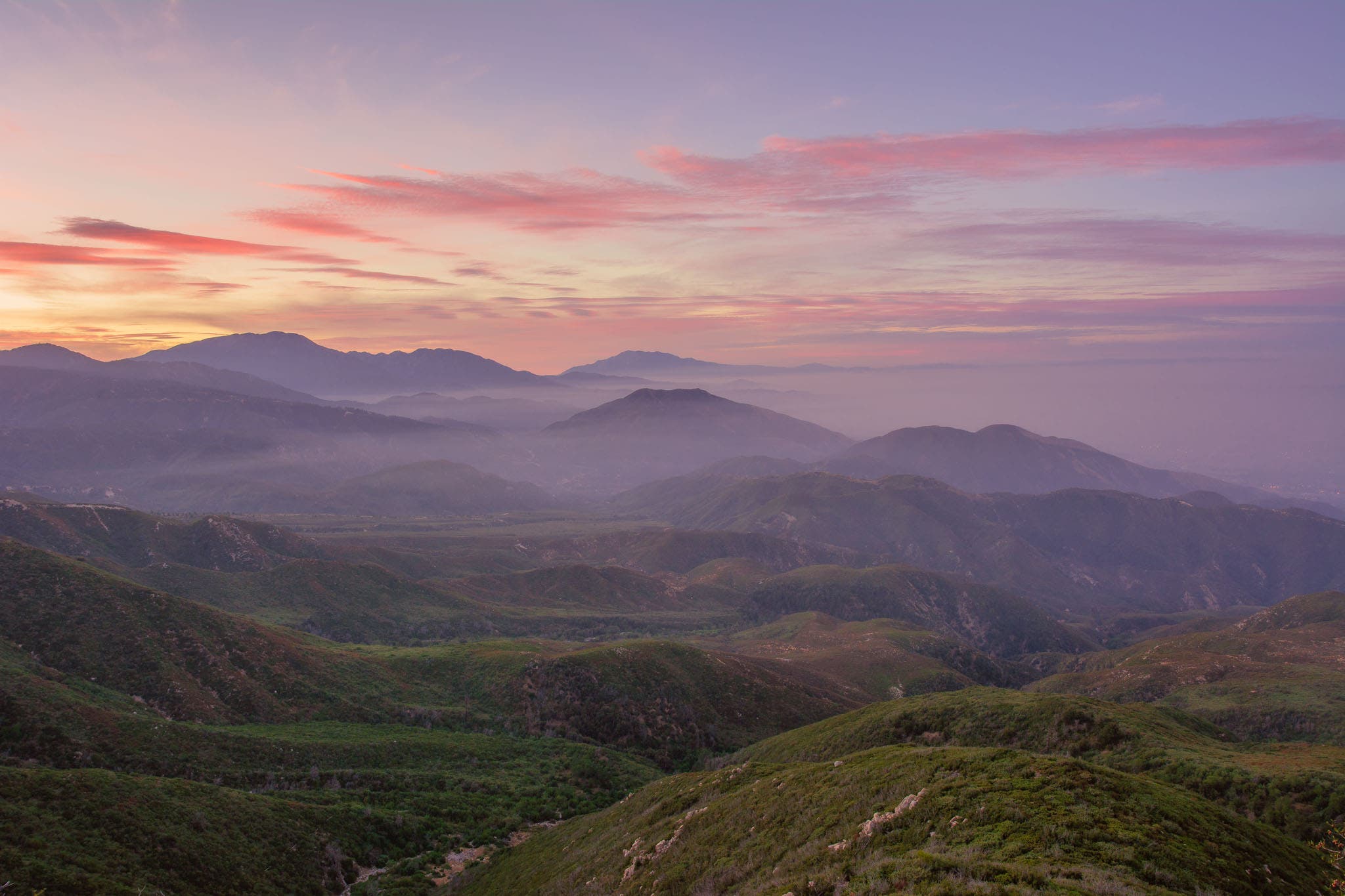 The Ultimate Guide to Contrast in Photography