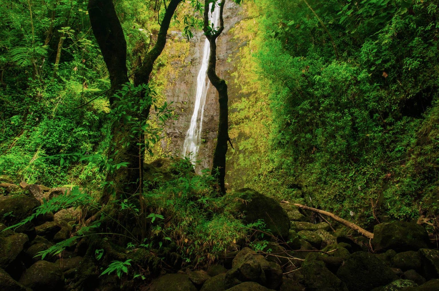 8 Vibrant Photography Tips for Colorful Images that Pop