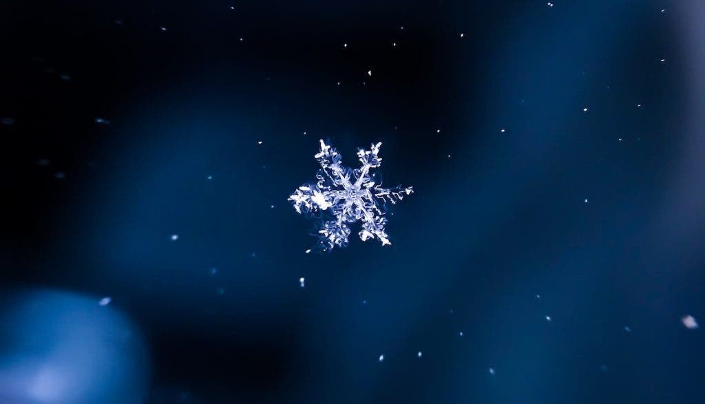 Tips for Winter Macro Photography - 42West, Adorama