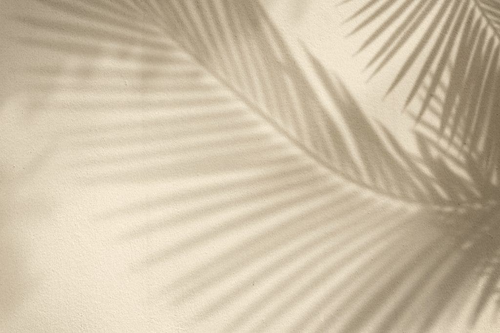 What is a Gobo in Lighting? - 42West, Adorama