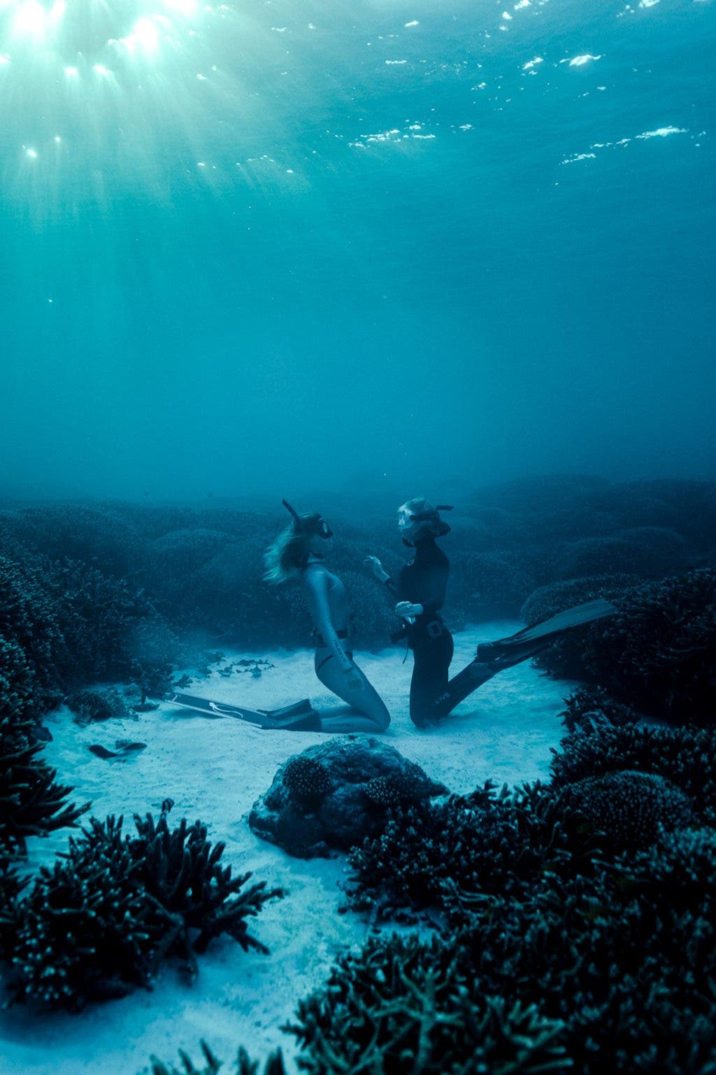 A Guide to Underwater Photography - 42West, Adorama Learning