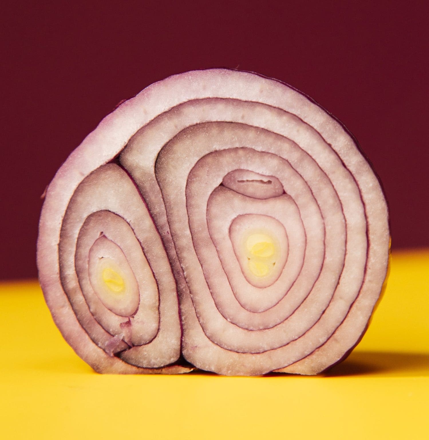 The Art of Seeing Patterns: Tips for Mastering Pattern Photography ...