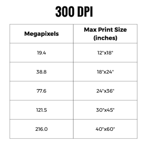 What are Megapixels? And How Many Do You Need? - 42West
