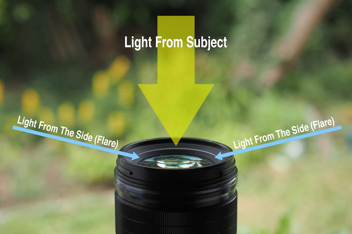 What is Lens Flare? And How to Avoid It - Adorama