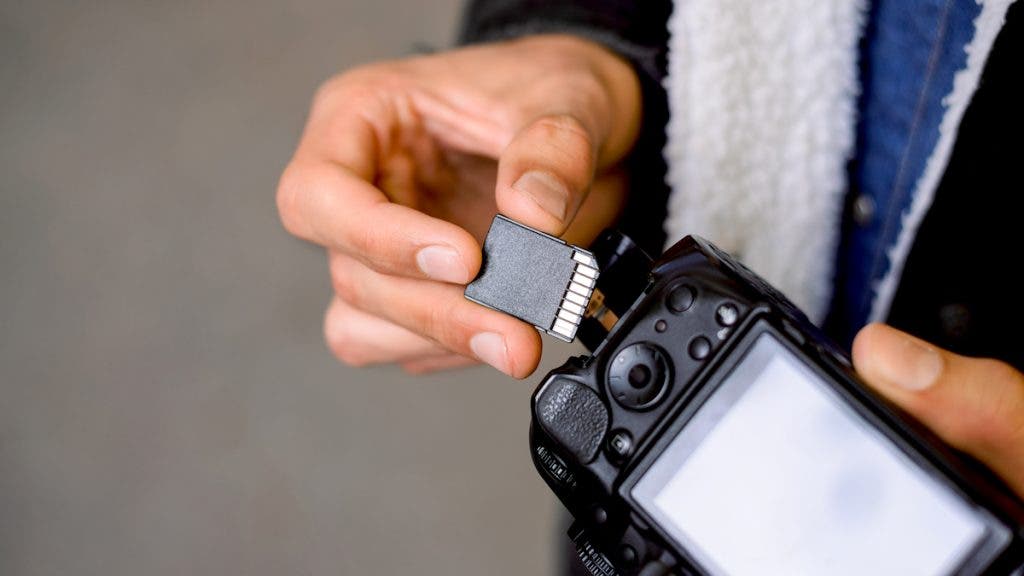 Best SD Cards for Cameras in 2024 - Adorama