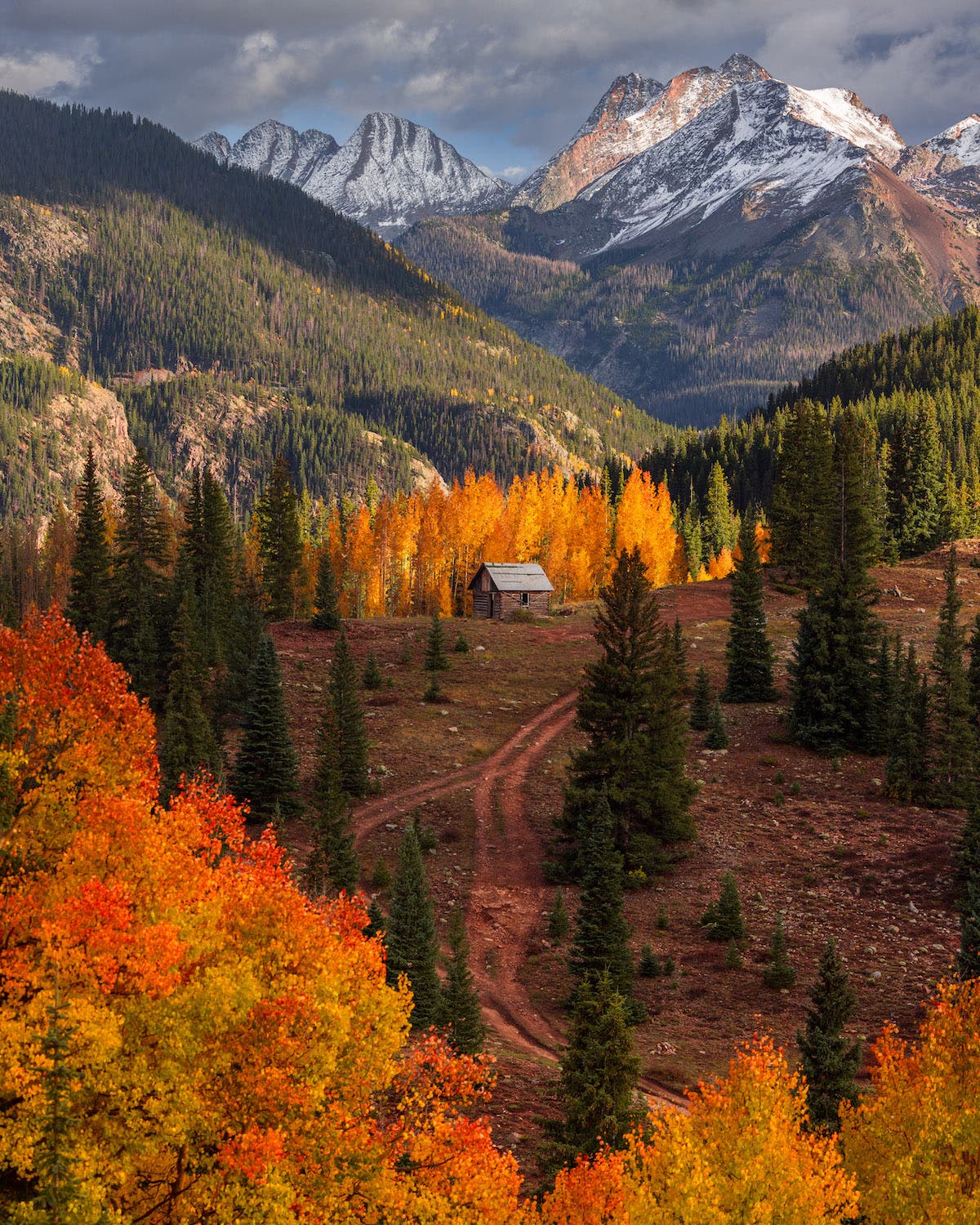 Best Canon Lenses for Fall Foliage Photography - 42West, Adorama