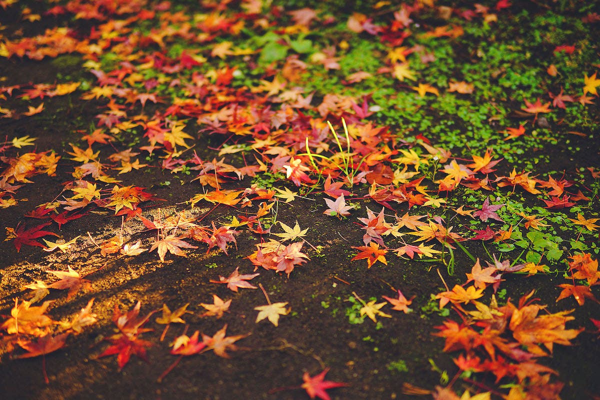 How to Use the Color Orange in Photography - 42West, Adorama