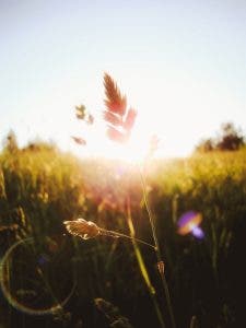 What is Ghosting in Photography? - Adorama