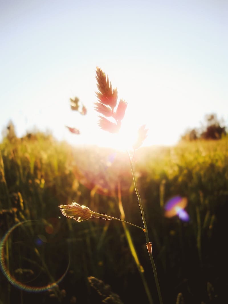 What is Ghosting in Photography? - Adorama