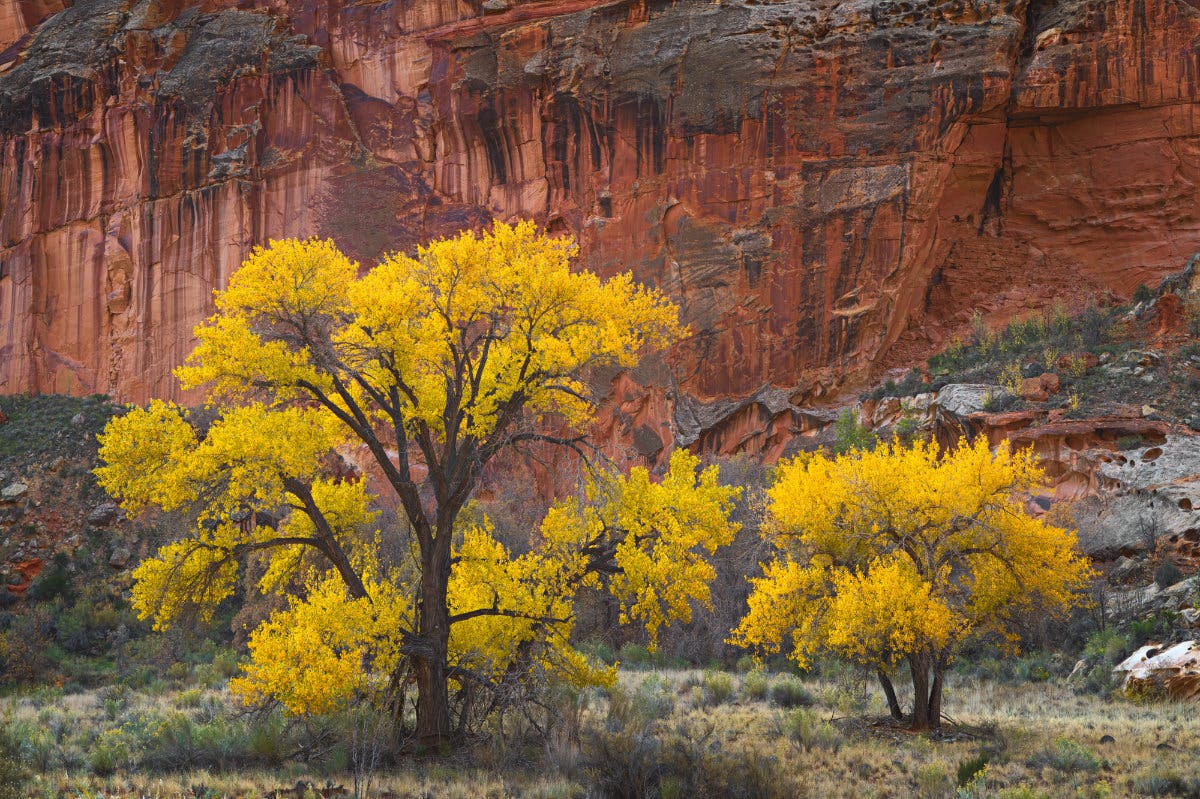 5 Signs You've Over-Edited Your Photos - Adorama