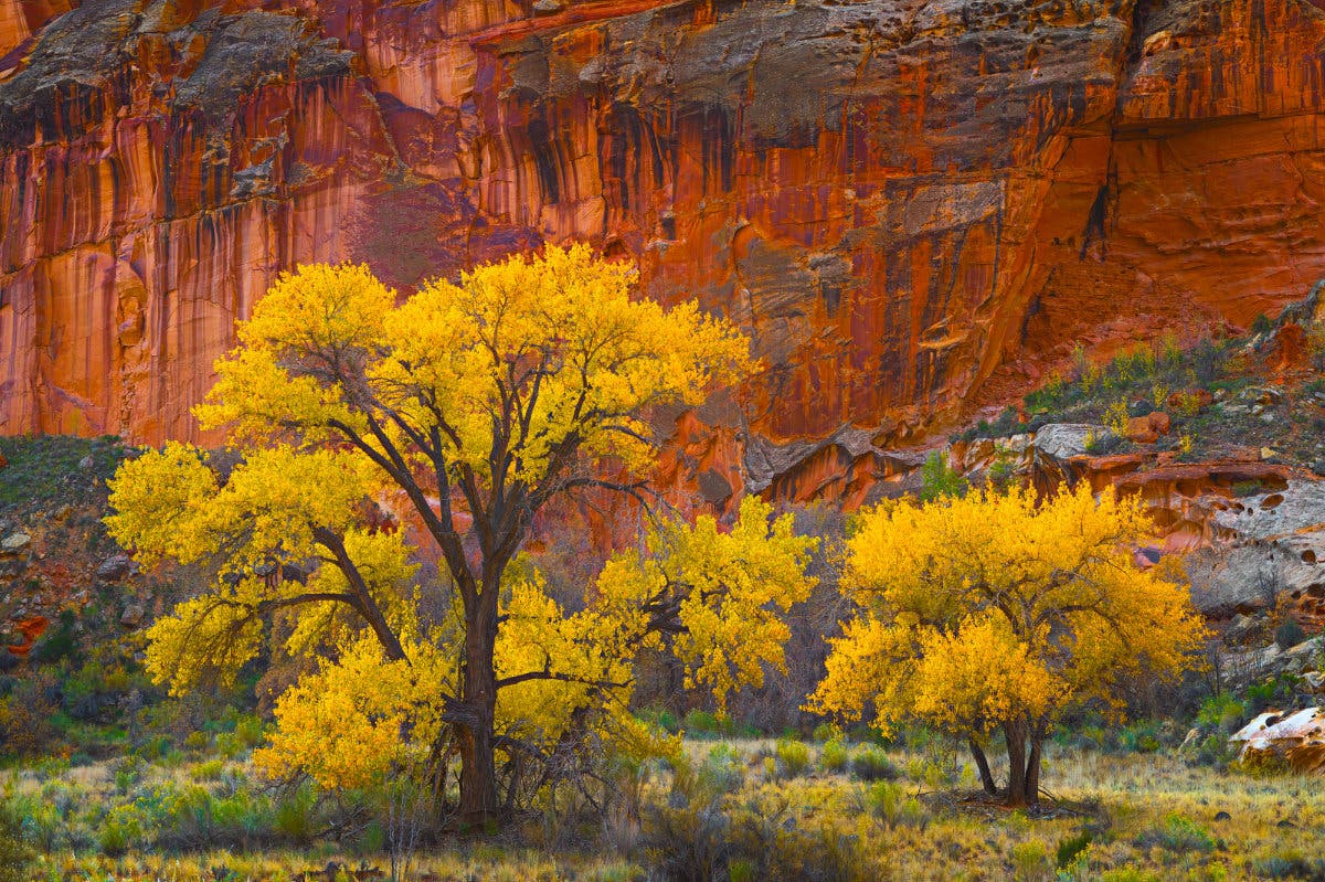 5 Signs You've Over-Edited Your Photos - Adorama
