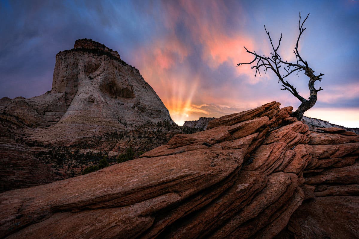 5 Signs You've Over-Edited Your Photos - Adorama