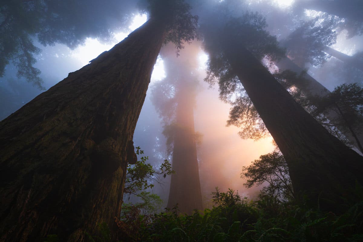 5 Signs You've Over-Edited Your Photos - Adorama