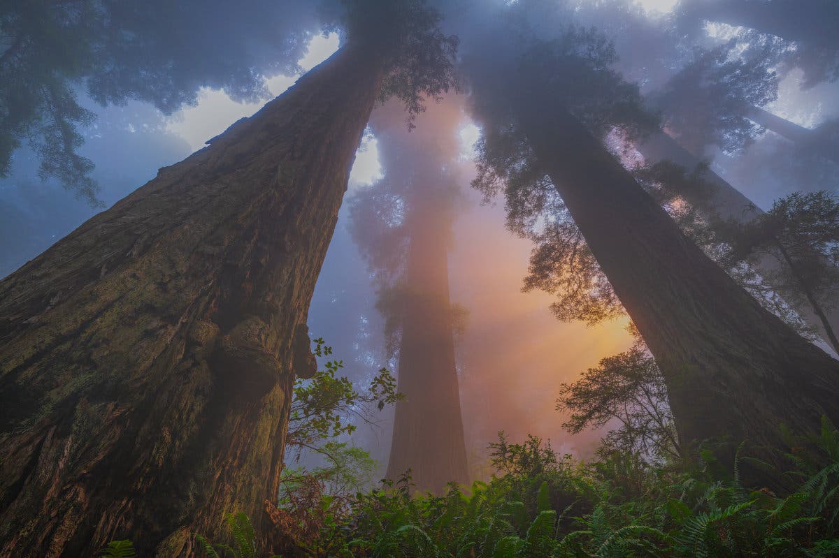 5 Signs You've Over-Edited Your Photos - Adorama