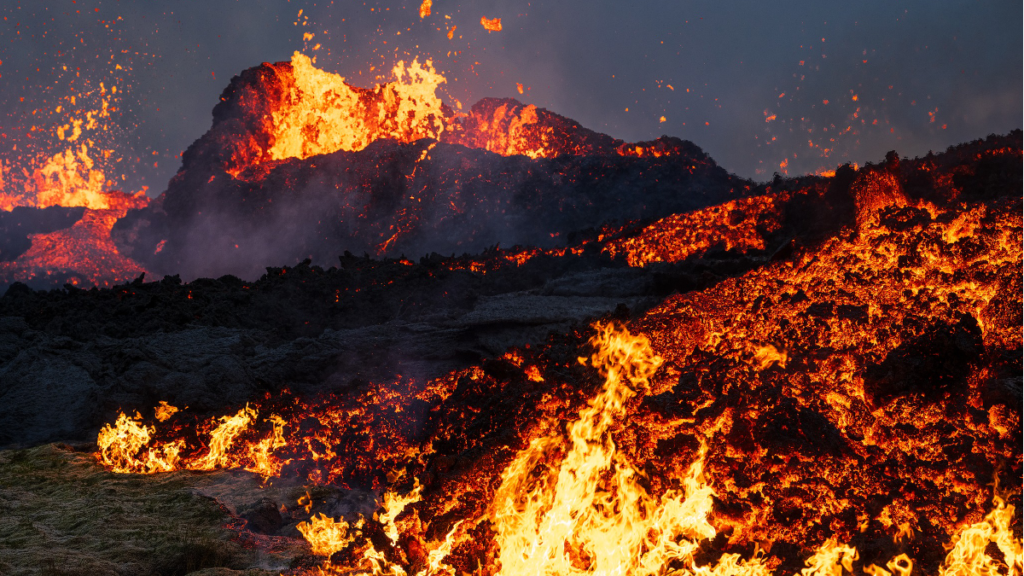 Lens in Focus: Versatile Workhorse NIKKOR Z 24-120mm Lens - Adorama