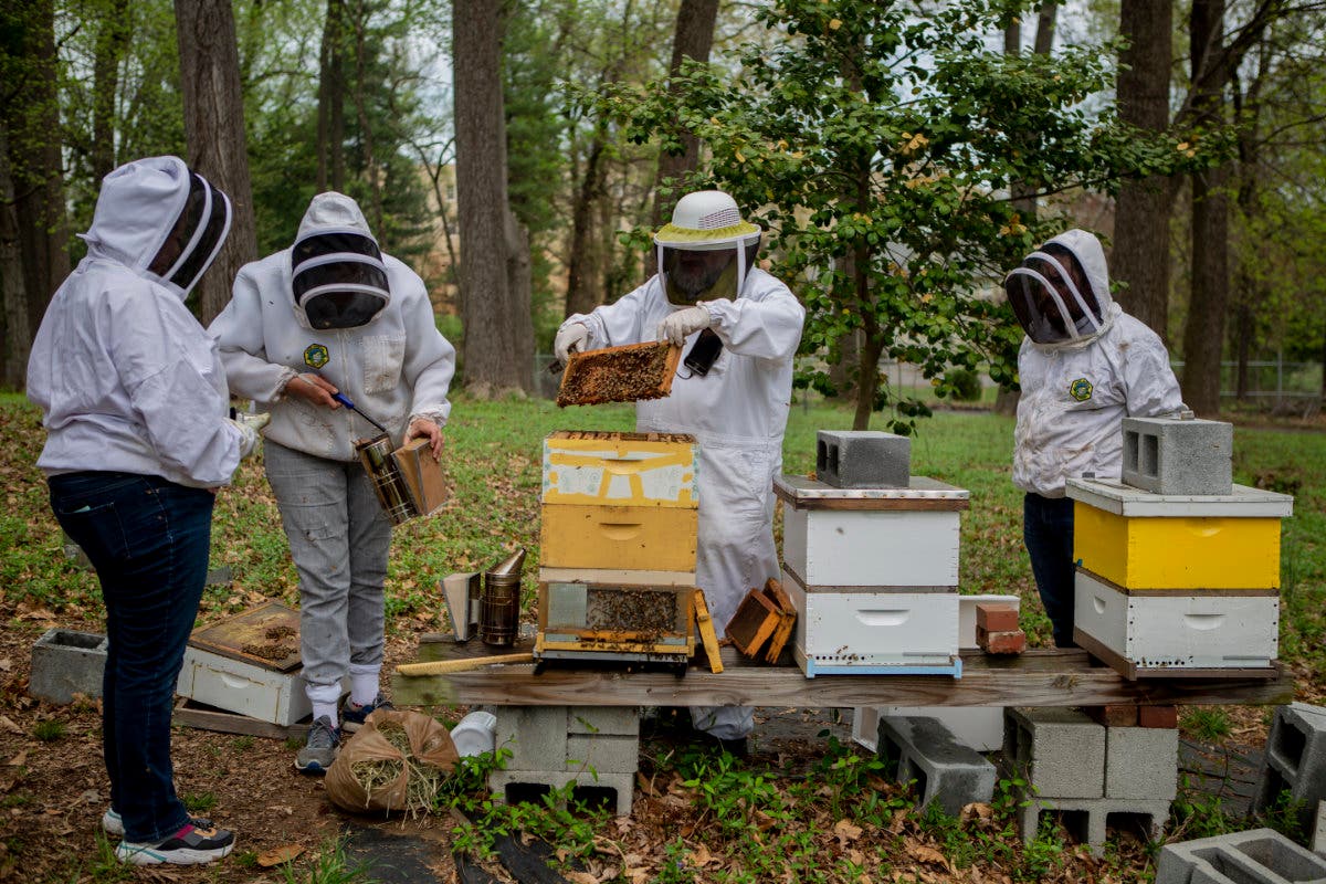 How a Conservation Photographer Became a Nat Geo Explorer Adorama