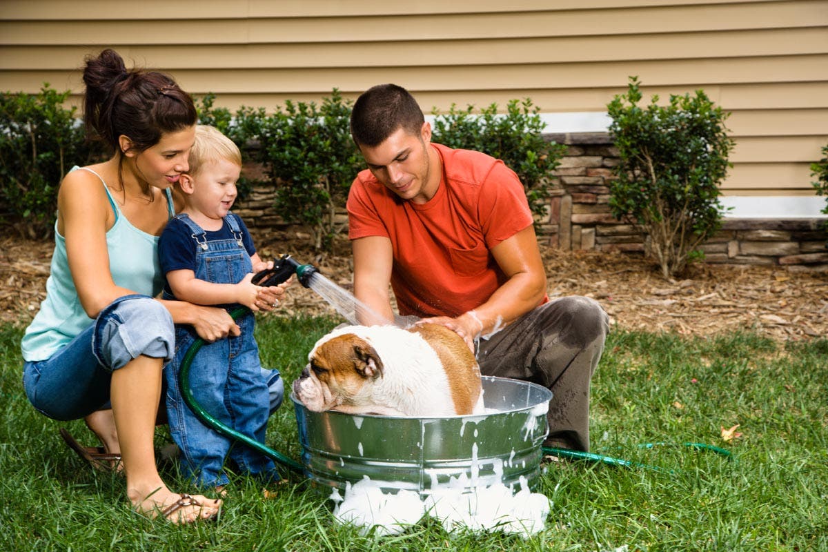 Unique Pet Photography: Ideas To Capture Stunning Pet Photos - Adorama