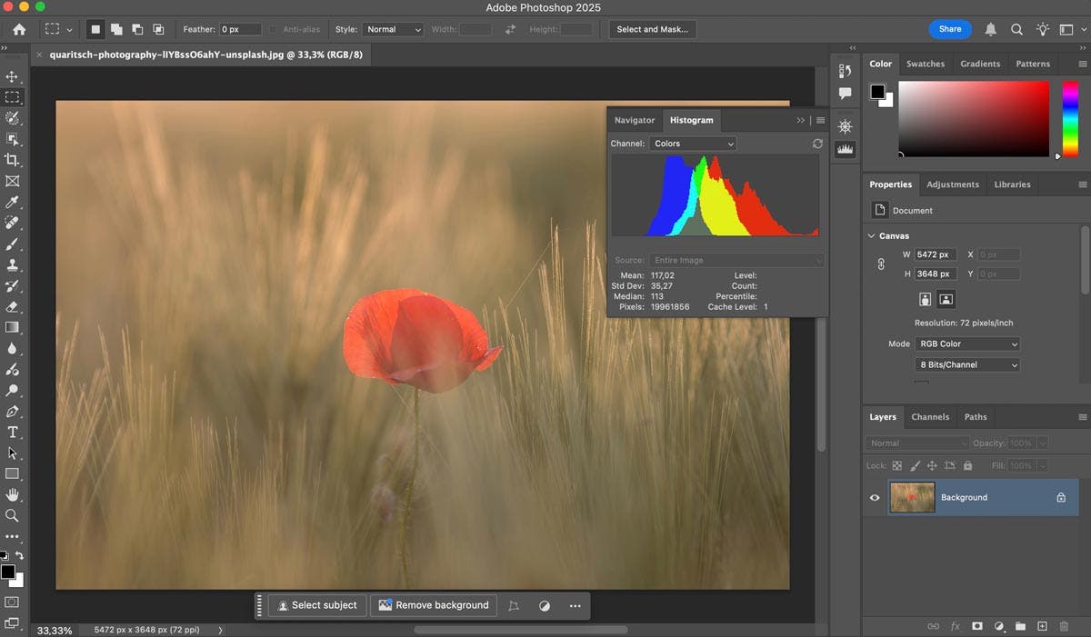 Curves and Levels in Photoshop - Adorama