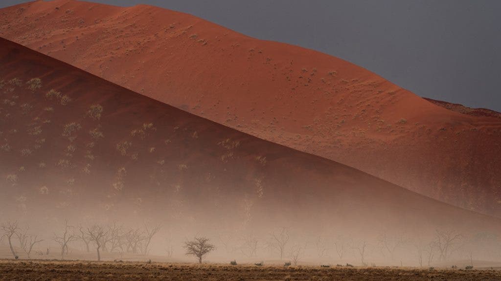 Desert Photography: Tips to Capture the Magic - Adorama