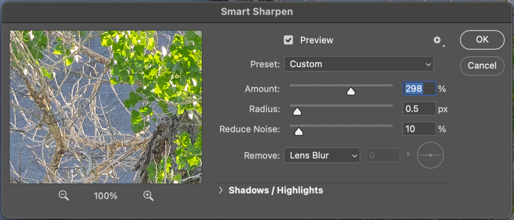 Sharpening in Photoshop: Everything You Need to Know - Adorama