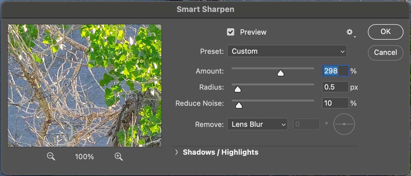 Sharpening in Photoshop: Everything You Need to Know - Adorama